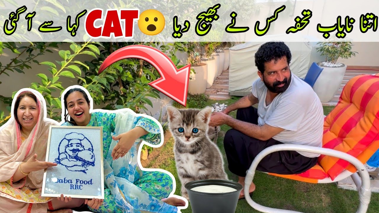 ITNA UNIQUE GIFT!🎁😱 | CAT kahan se Aagai?🐈 | BaBa Food RRC | Ramish Ch ...