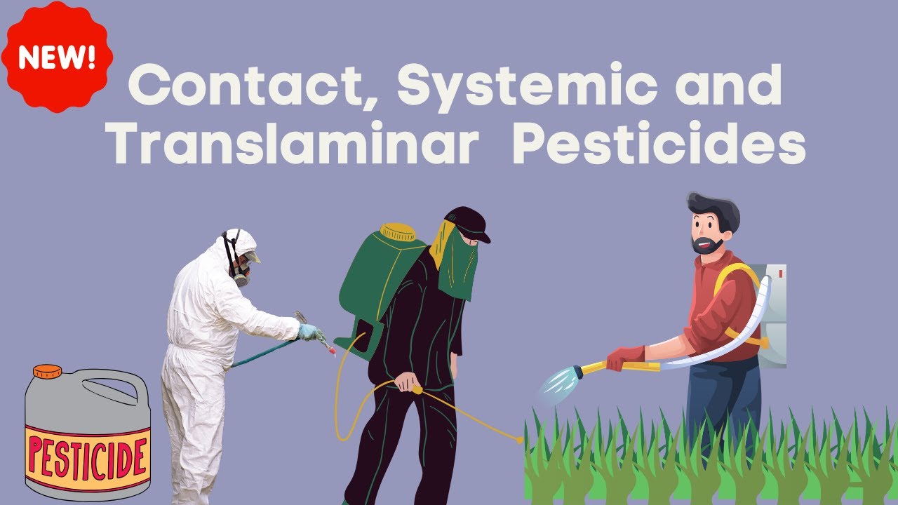 Types Of Insecticides