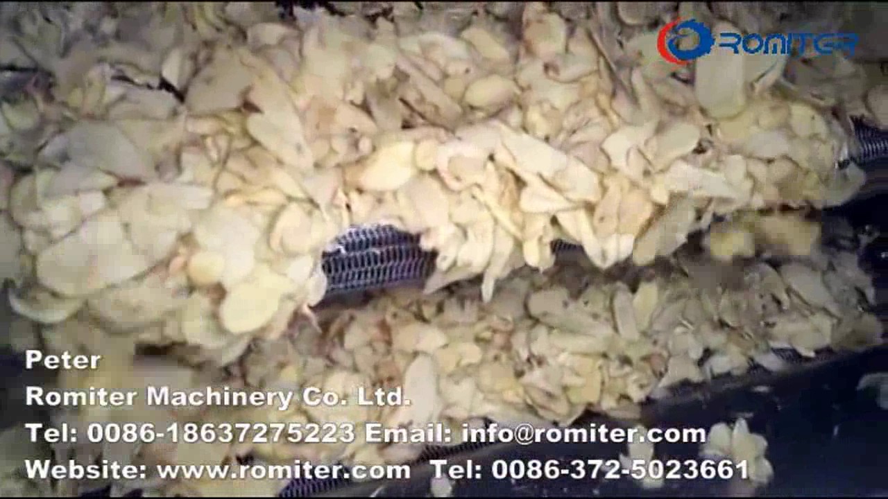 Automatic Sliced Ginger Multi Layer Drying Machine-Romiter Machinery ...