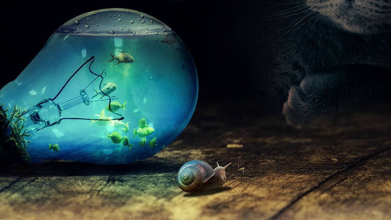 ocean inside the bulb - YouTube