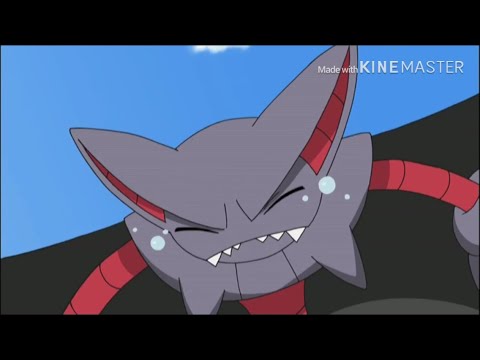 Ash Leaves Gliscor for Training - YouTube