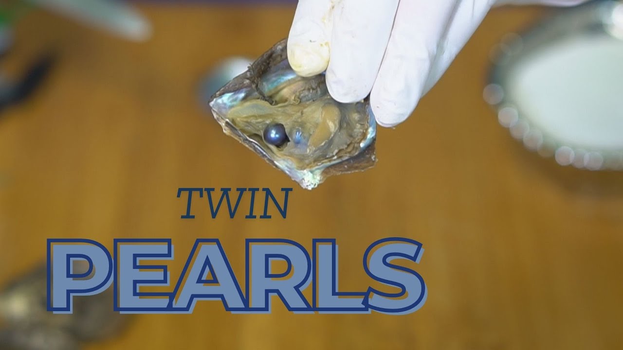Twin Pearls! (Reveals 18206 - 18220) - YouTube