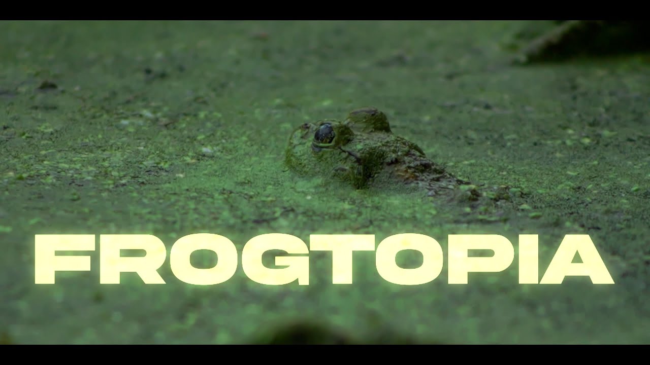 Oasis Series: Frogtopia - YouTube