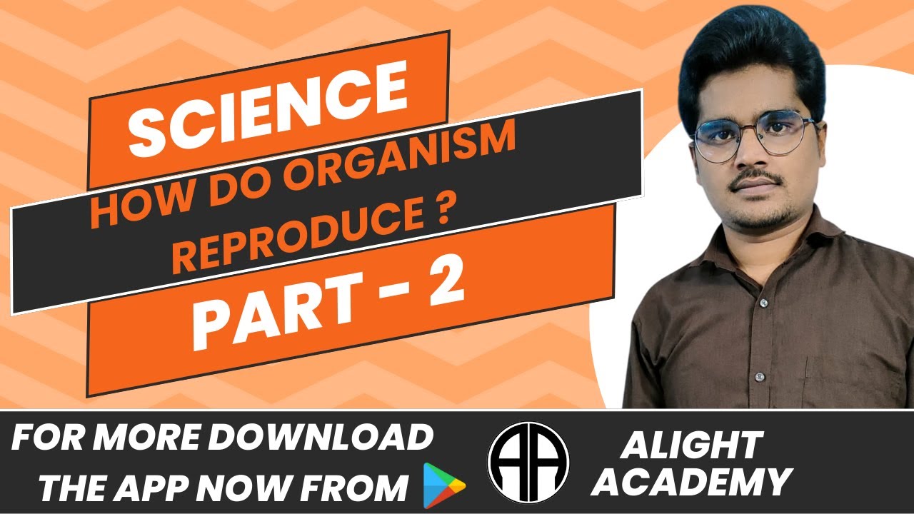 CLASS 10TH SCIENCE - How do Organism Reproduce ? 2 - YouTube