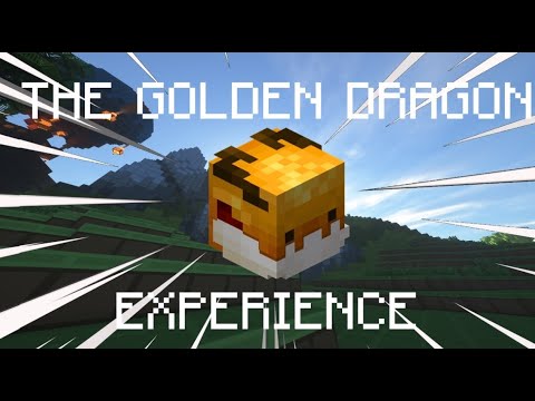 the golden dragon experience | HYPIXEL SKYBLOCK - YouTube
