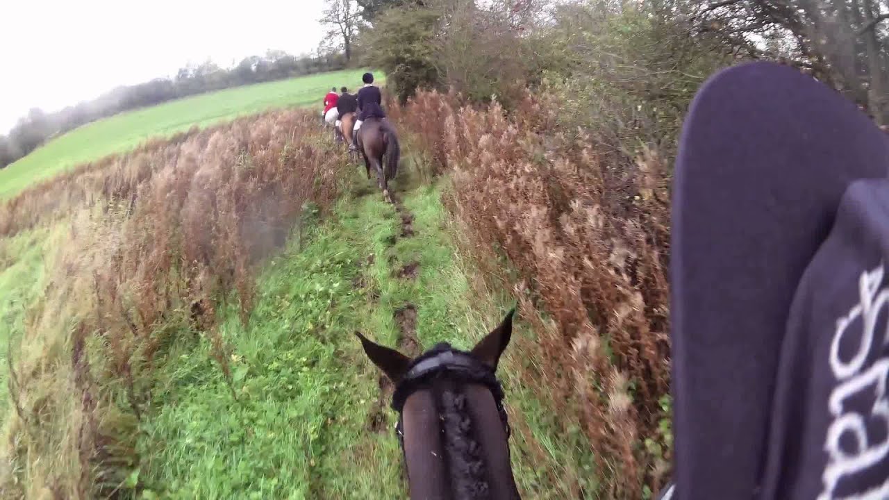 Ashby Parva, Atherstone Hunt 7.11.2015 - YouTube