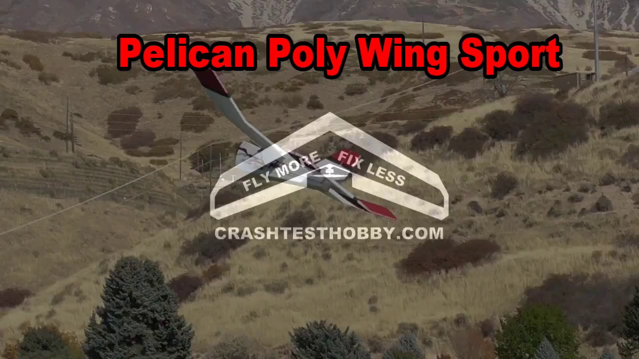 Pelican Polyhedral Wing Sport Flying - YouTube
