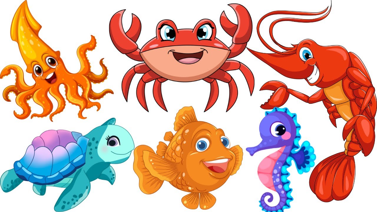 Learn Sea Animals For Kids | Sea Creatures For Kids | Ocean Animal ...