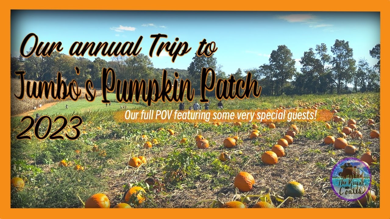 Our Annual Trip to Jumbo’s Pumpkin Patch 2023! - YouTube