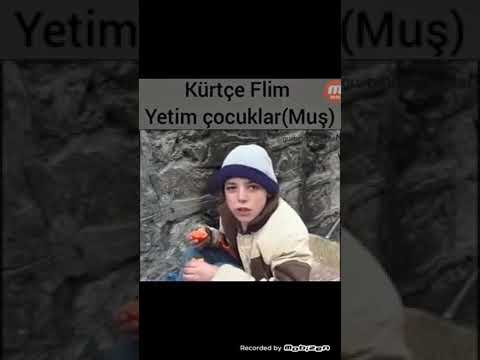 Yetimler muş filimi