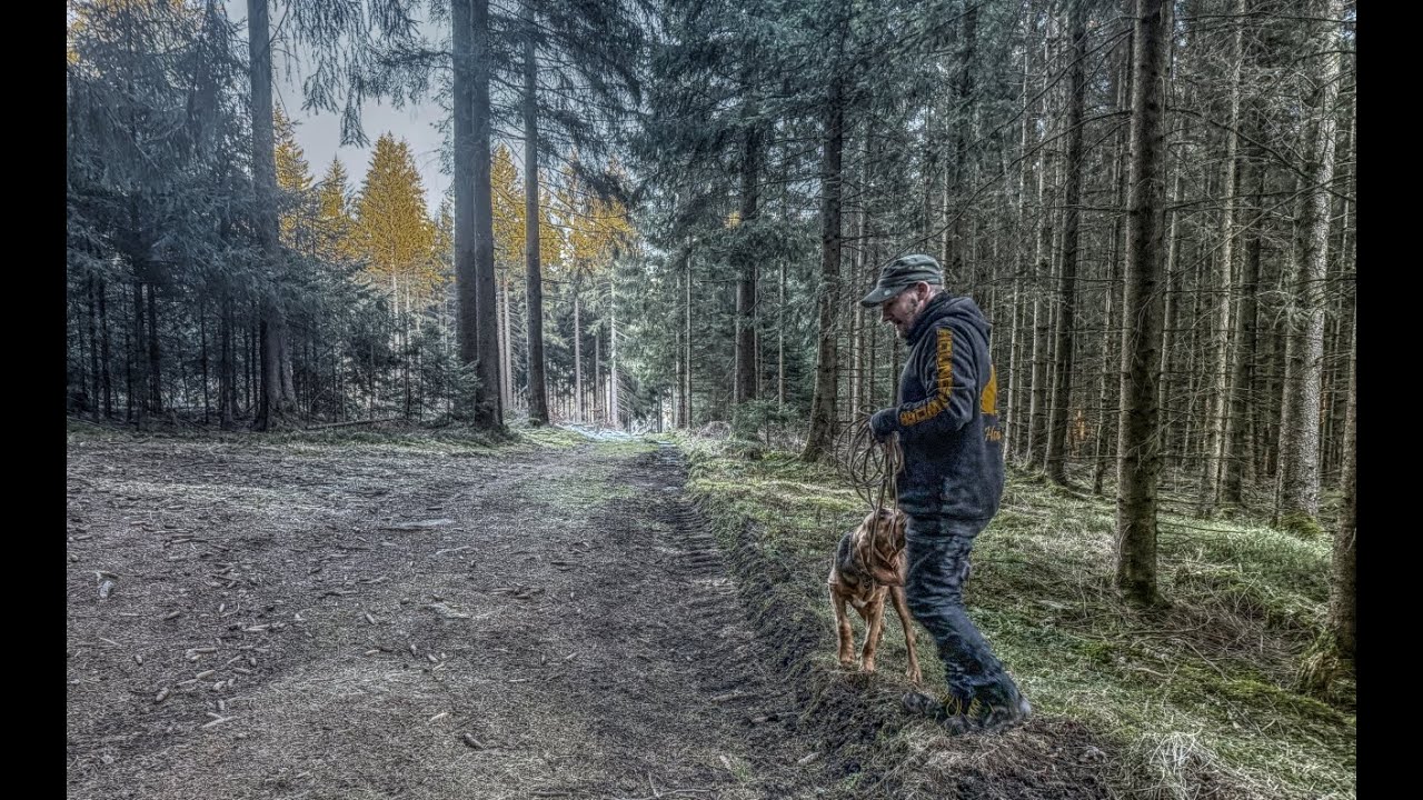 #mantrailing - Tuvok's Weg zum Mantrailer - YouTube