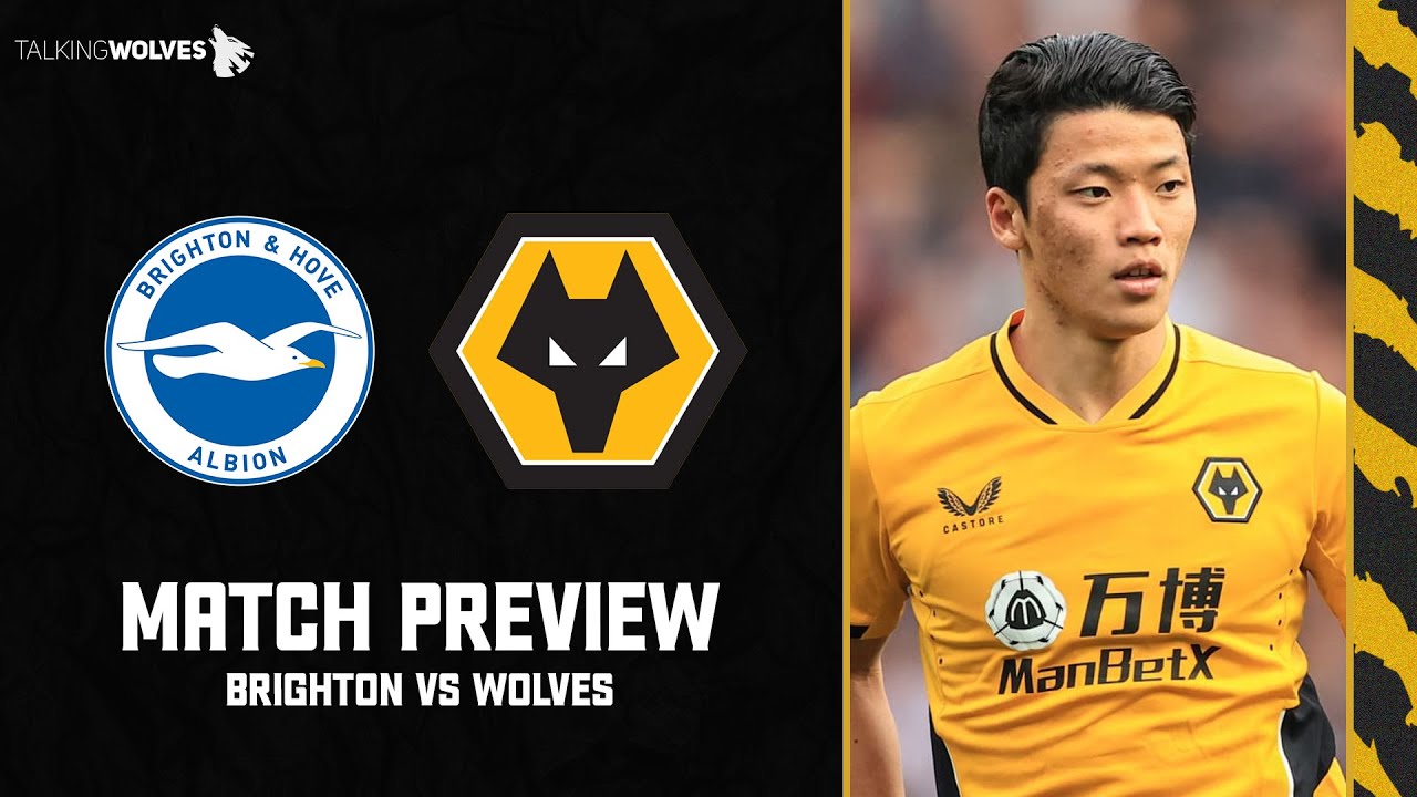 Brighton & Hove Albion vs Wolves - Match Preview - YouTube