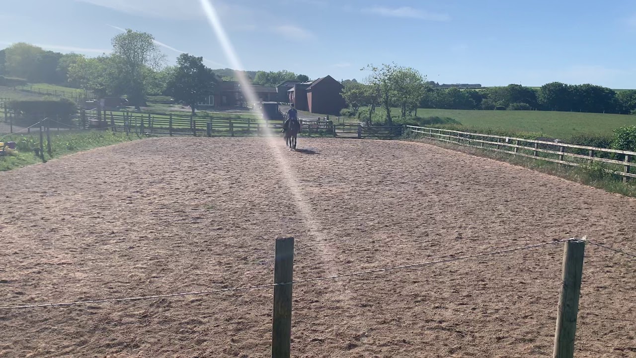 Prelim 2 dressage online - YouTube