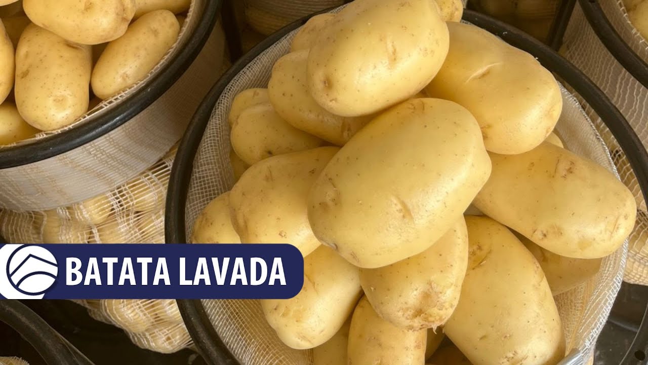 Batata Lavada é o destaque da semana (16 a 20/12) no atacado da CEAGESP - YouTube