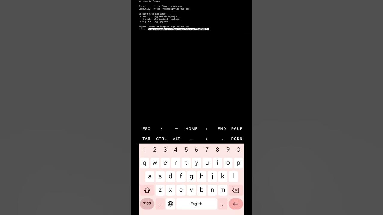 DEADSOUL SOFT #coding #soft #python #termux #programming #catlover #fyr #code #standoff2 # ...