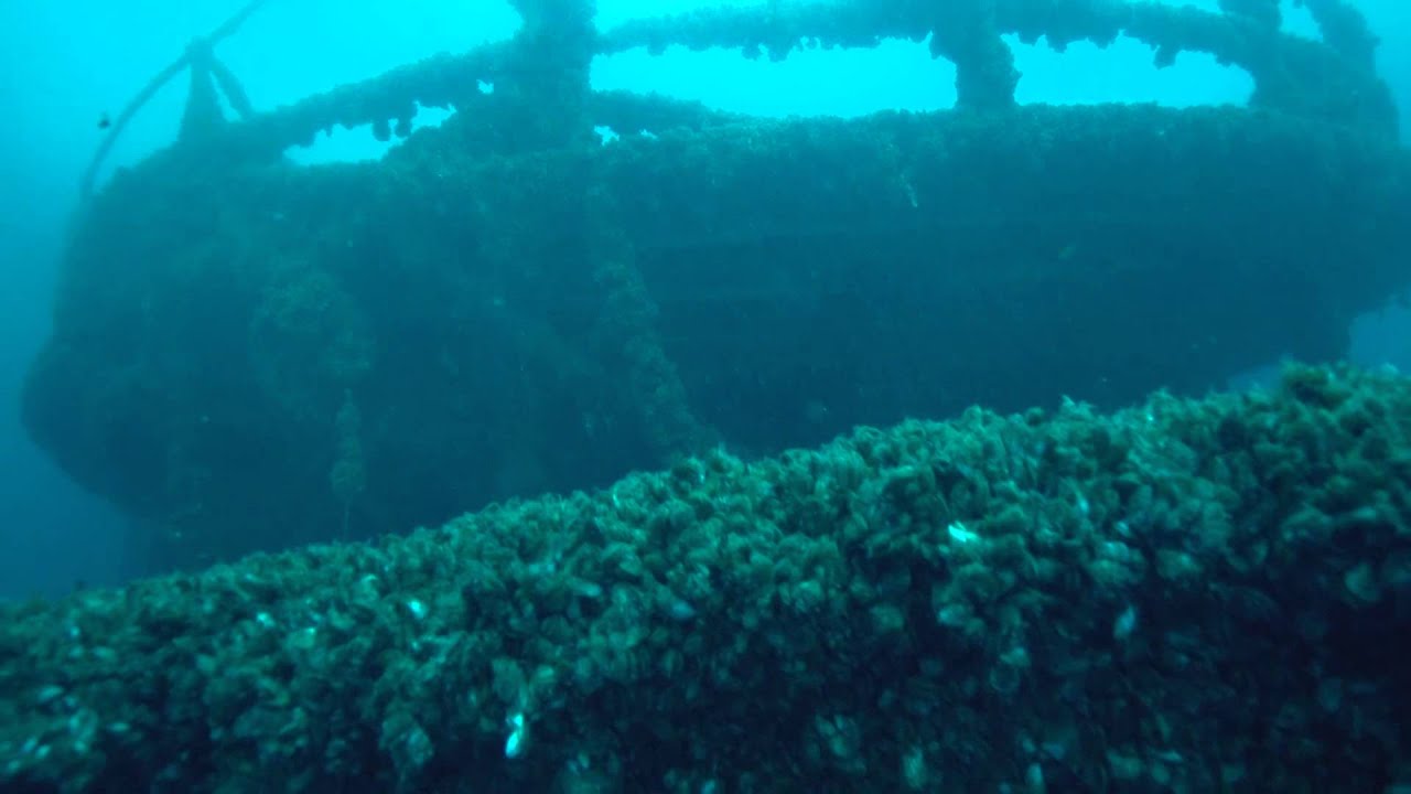 Daniel J. Morrell stern Aug 2014 - YouTube