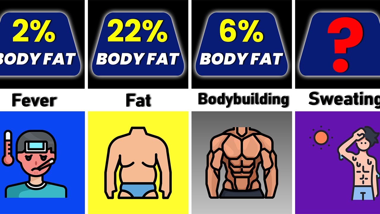 Comparison You At Different Body Fat Levels - YouTube