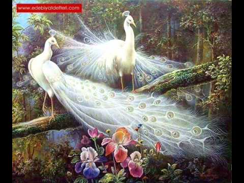 hazırlayan türkoglu yemin olsun daha sevmeyecegim