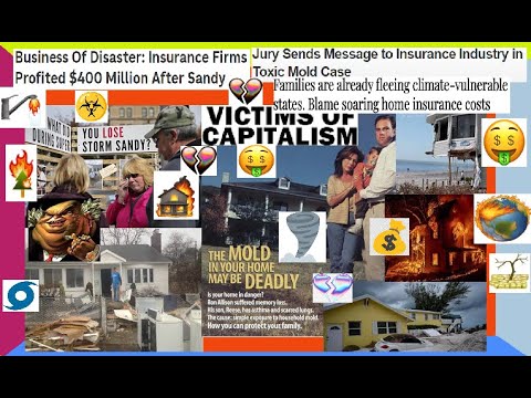 PURE EVIL The Home Insurance Companies Files (DEEP-DIVE) Capitalism ...