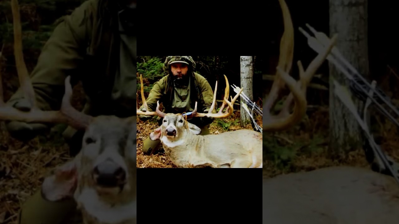 What do you think about the Rompola Buck…Real or Fake? #deer # ...