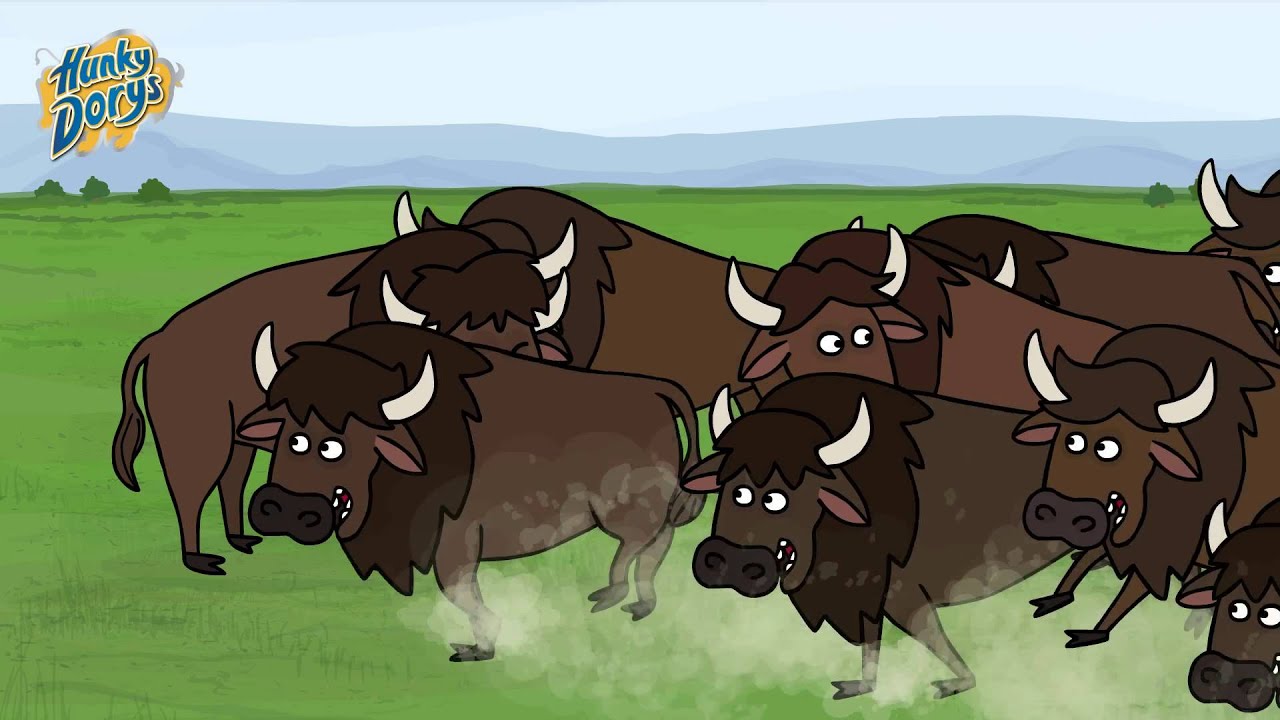 Sminky Shorts: Buffalo Banter - Bandwagon - YouTube