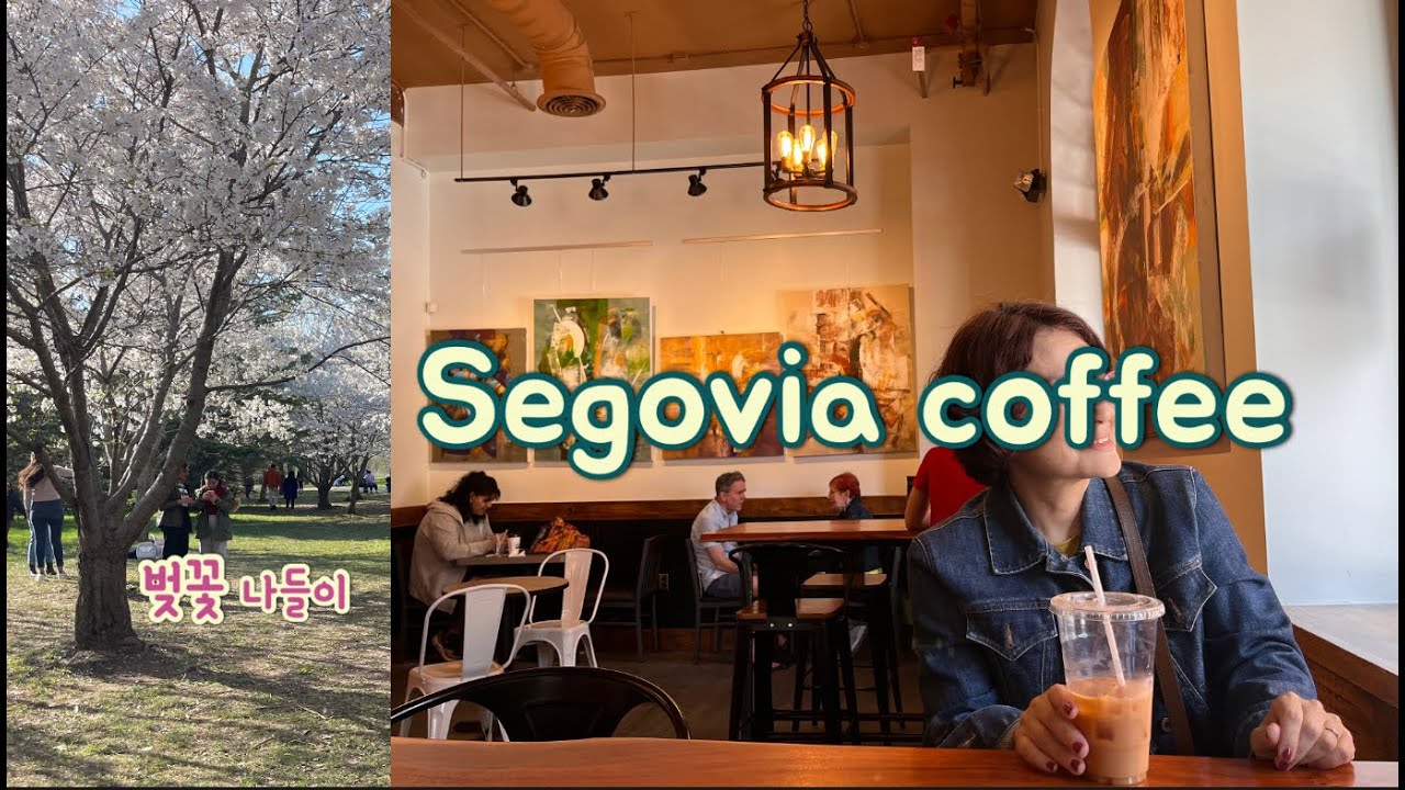 🇨🇦Segovia cafe:Gage Park 산책 Brampton: 🌸벚꽃엔딩🎶🎵 - YouTube