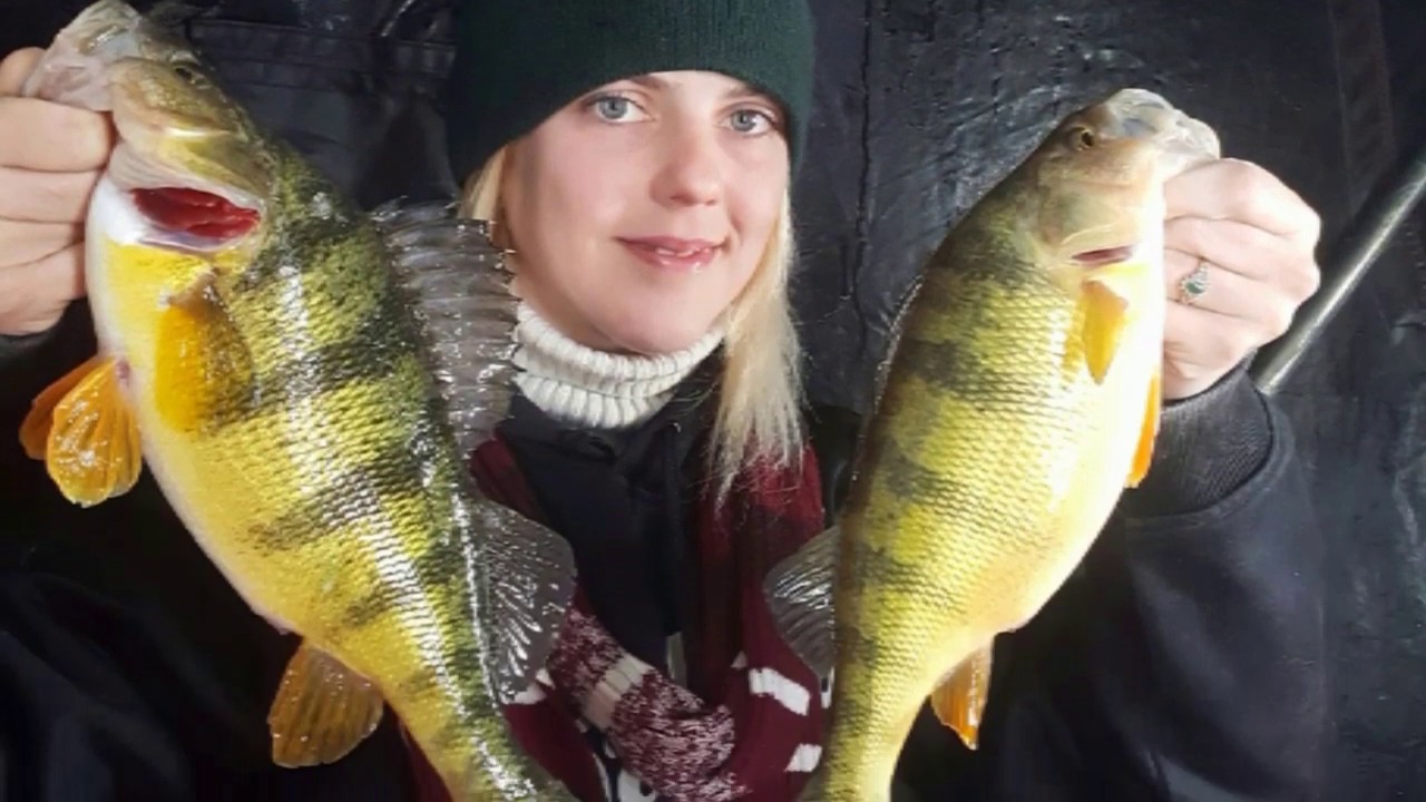 Cooking Perch while Ice fishing - YouTube
