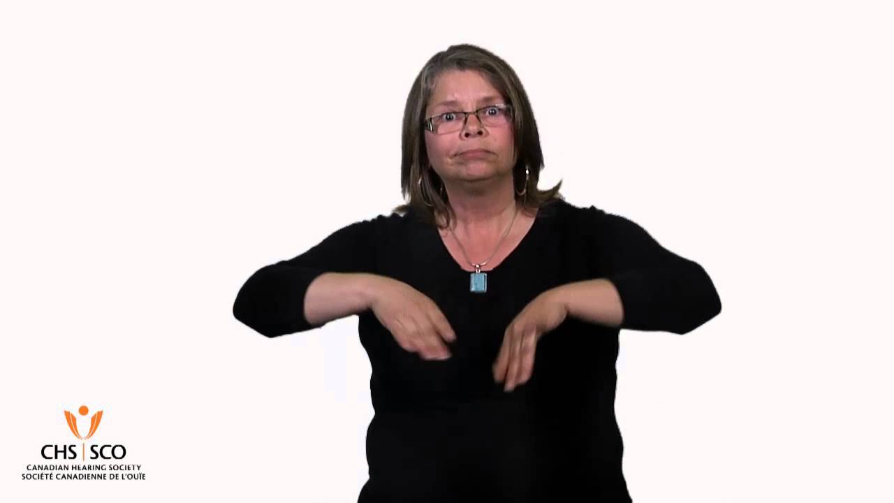 ASL The 5 Building Block Framework for Language Access - YouTube
