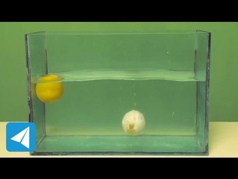 Unpeeled oranges float due to low average density | Flotation | Physics ...
