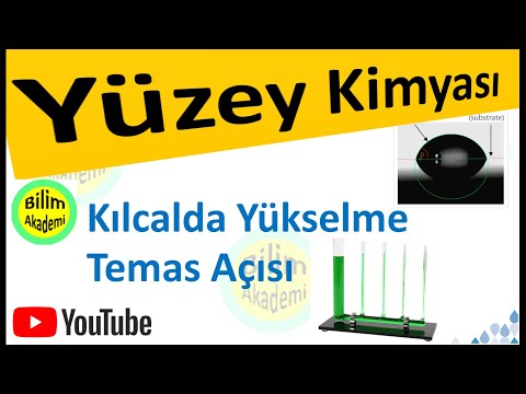 Yüzey Gerilimi Ölçümü: Kılcal Boruda Yükselme ve Damla Şekli Analizi (Asılı Dalma, Durgun Damla)