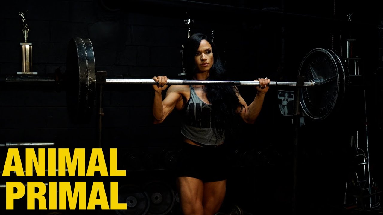 Setting Routines Renee Jewett Animal Presents - YouTube