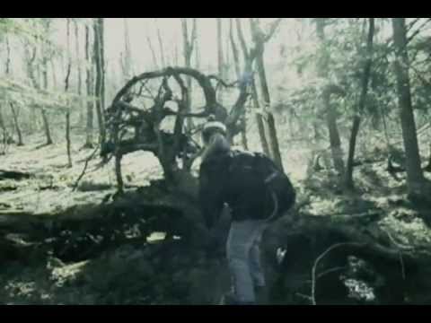 In The Arklay Mountains - YouTube