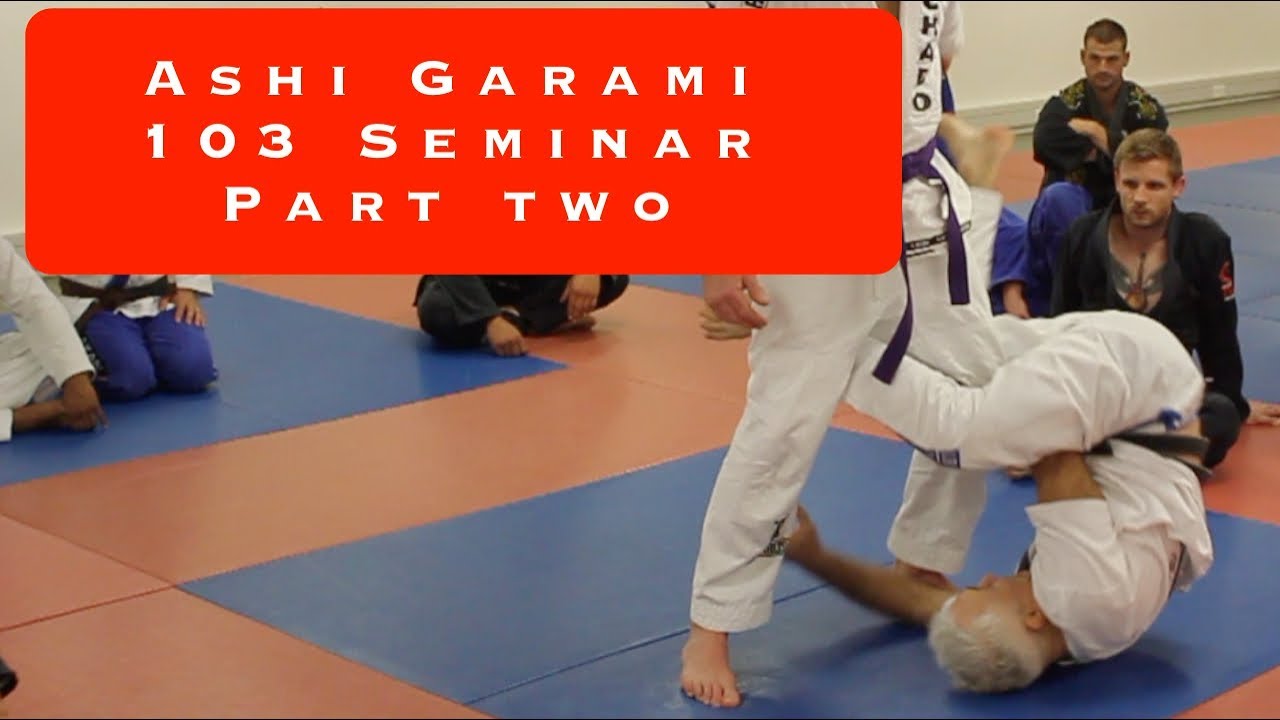 Ashi Garami Seminar 103 pt 2 - YouTube