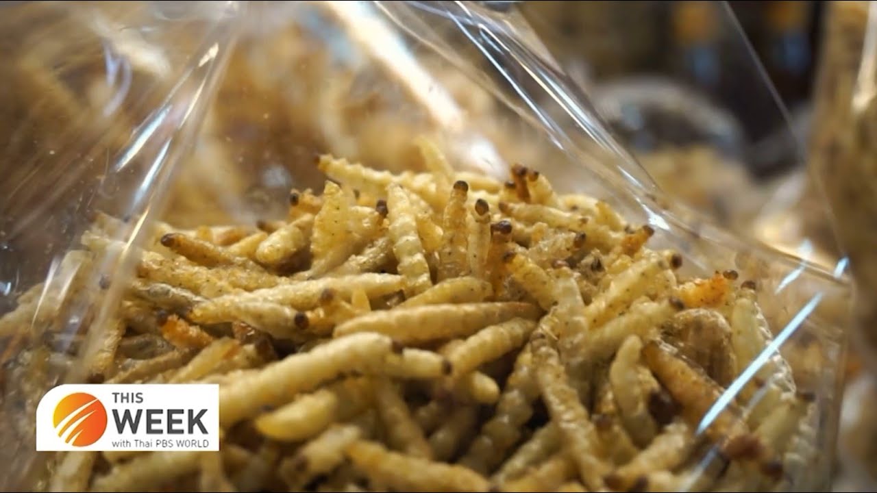 Fried insects - The superfood Thai delicacy - YouTube