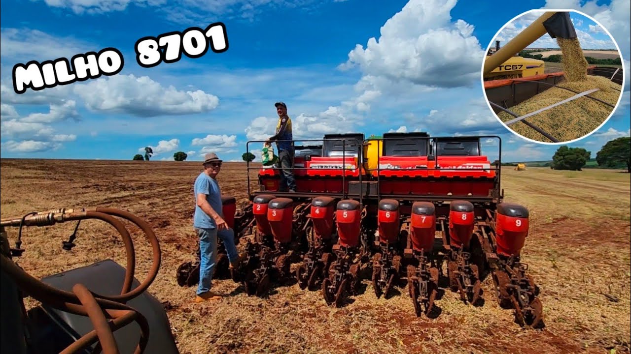 Plantando Milho e Colhendo Soja Verde 🫠 - YouTube
