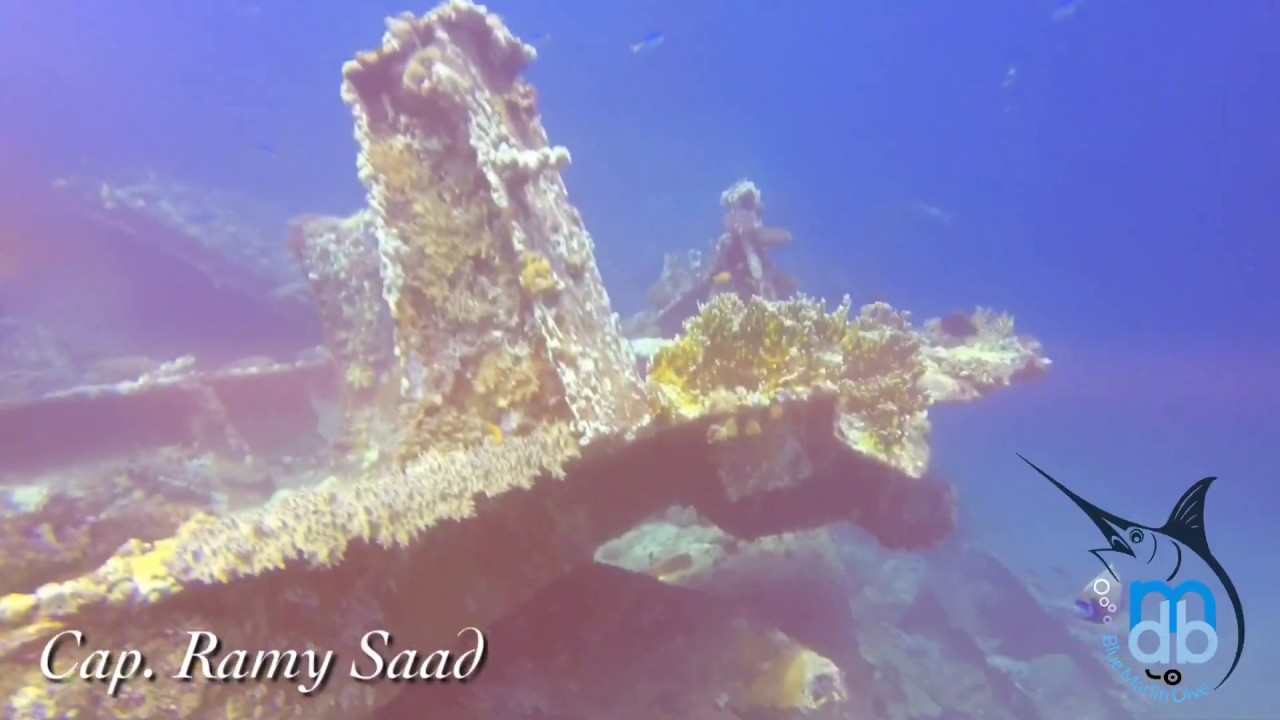 Ann Ann Wreck Dive - YouTube