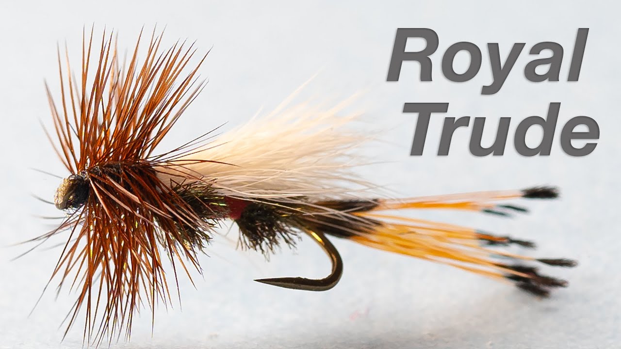 Royal Trude - YouTube