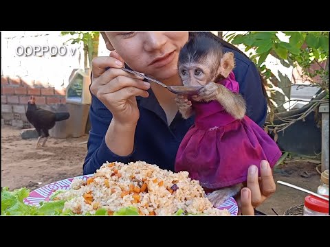 Wow , Baby Monkey Janny try standing eat fries rice by own self - YouTube