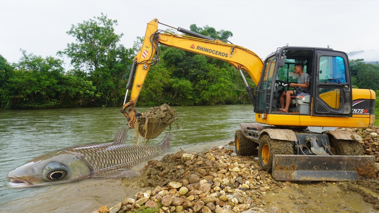 Fishing Technology Exciting: Use Large Excavator Build Fish Trap With ...