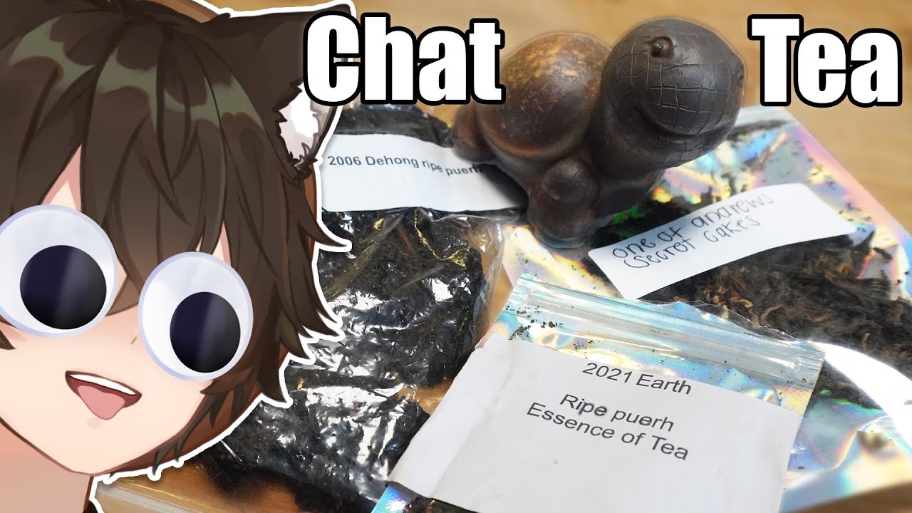 More tea for the turtle tea pet【Chat & Tea】 Charity Stream day 7 - YouTube