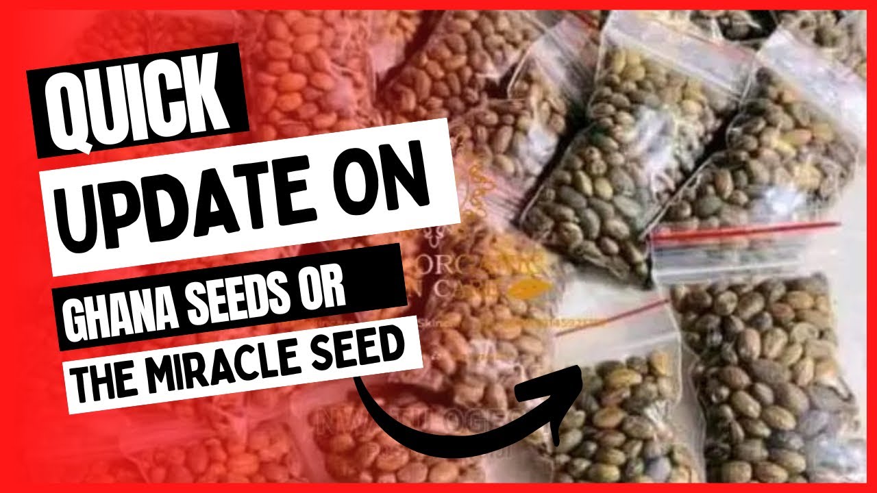 Quick review on Ghana seeds / Miracle seed - YouTube
