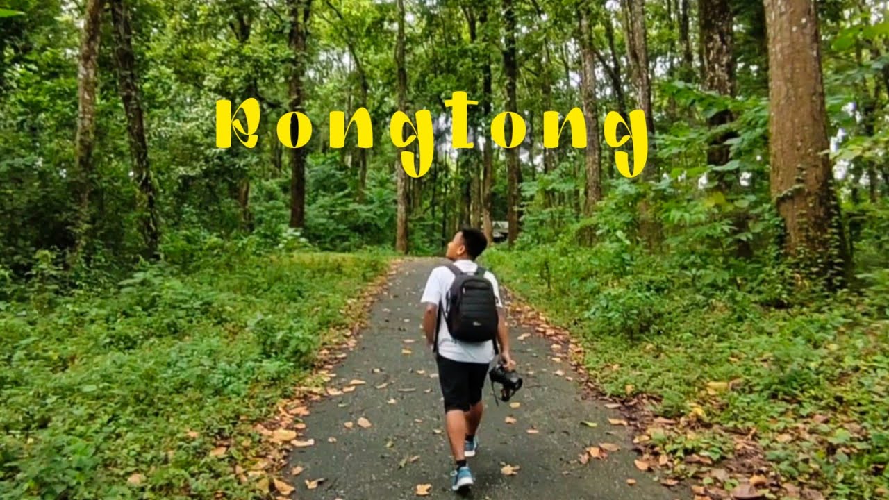 Rongtong - the picturesque destination near siliguri || Short Cinematic ...