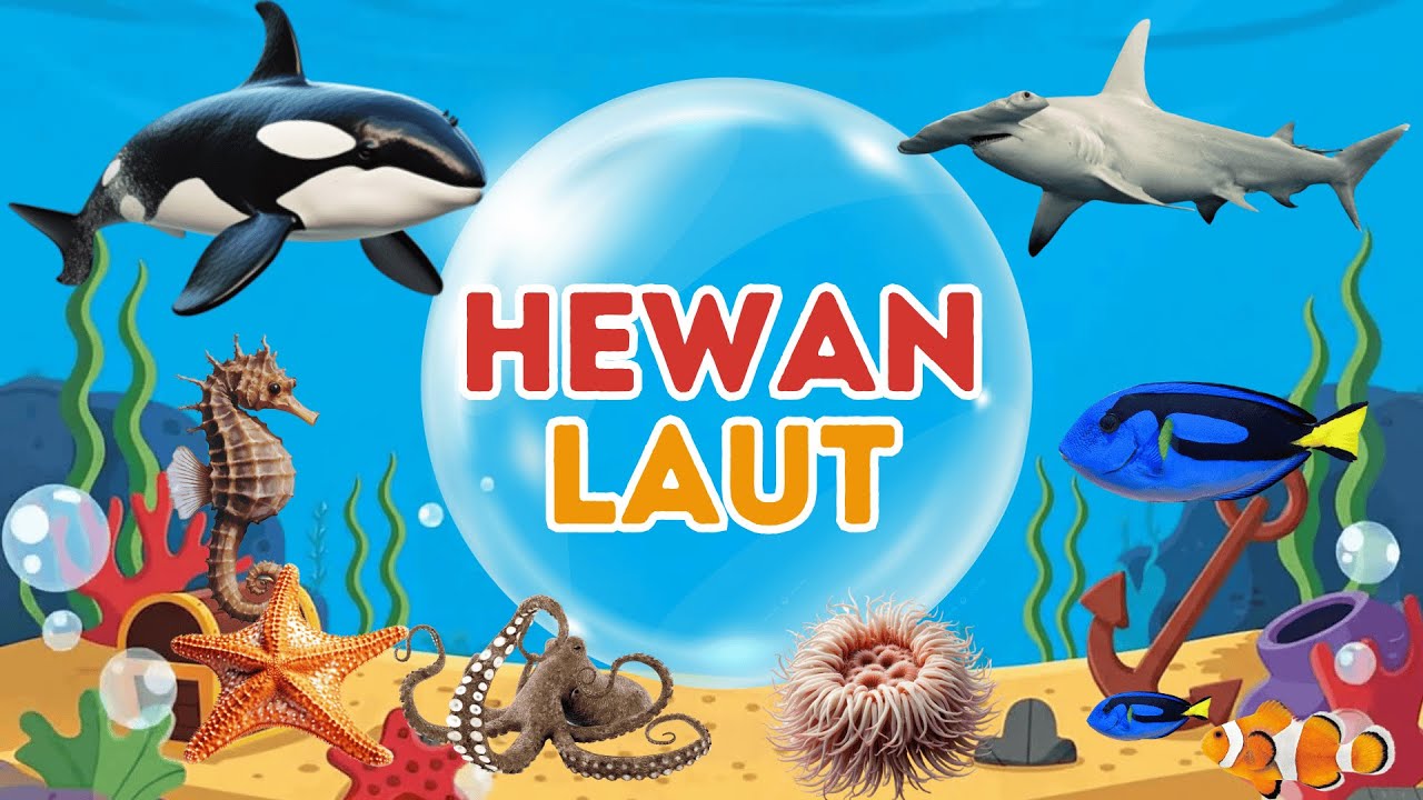 Belajar Nama-nama Hewan Laut untuk Anak-anak | Mengenal Nama-nama ...