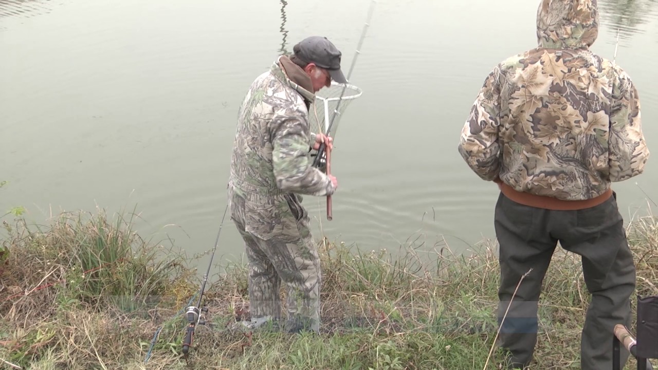 TRWD Trout Release Trinity River - YouTube