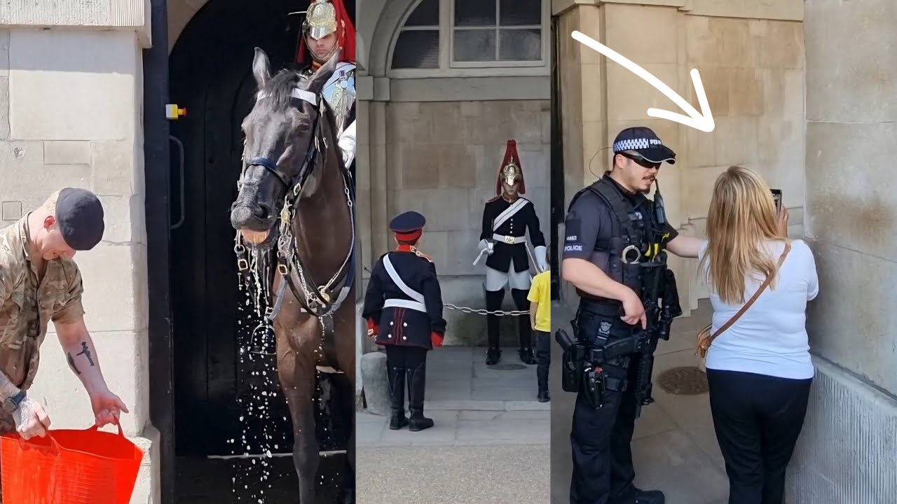 SHE CALLED THE POLICE OFFICER: Tourists Argue with Each Other at Horse ...