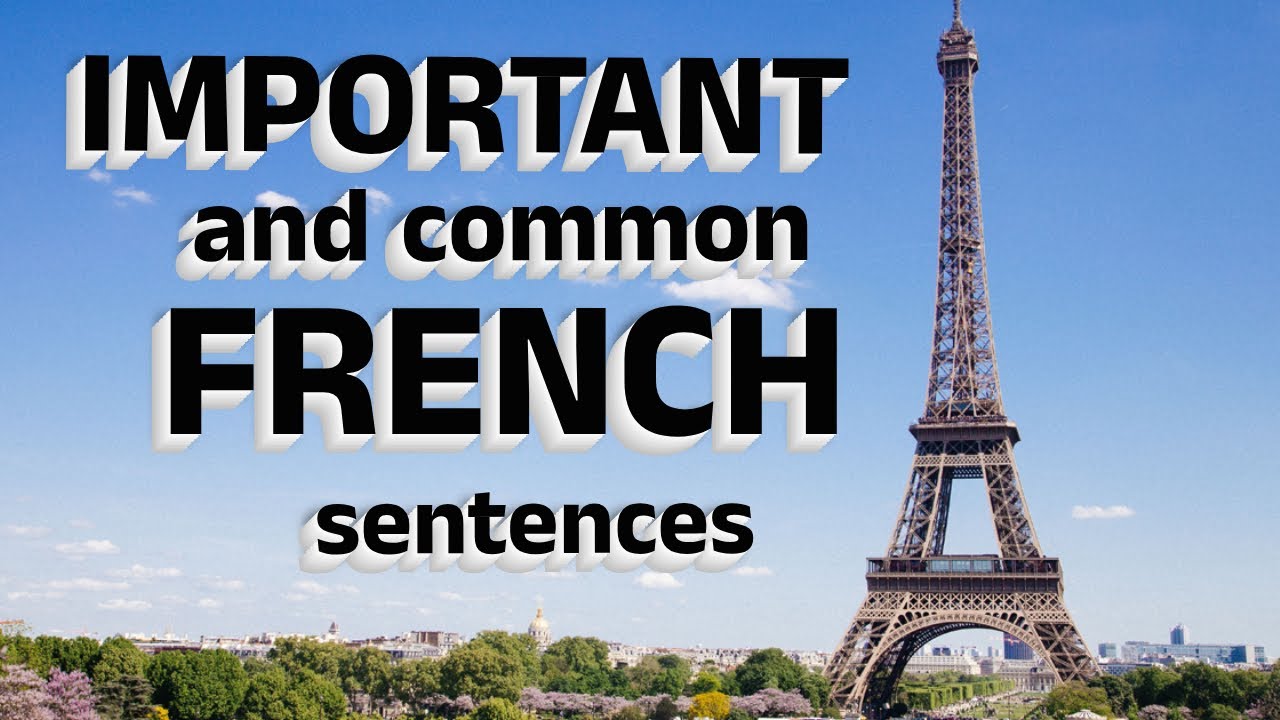 Important and Common FRENCH Sentences and Phrases every learner Must ...