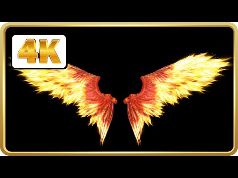 Fire Angel wings in Black Screen loops - YouTube