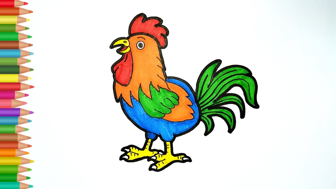 Menggambar Ayam jantan // drawing rooster - YouTube