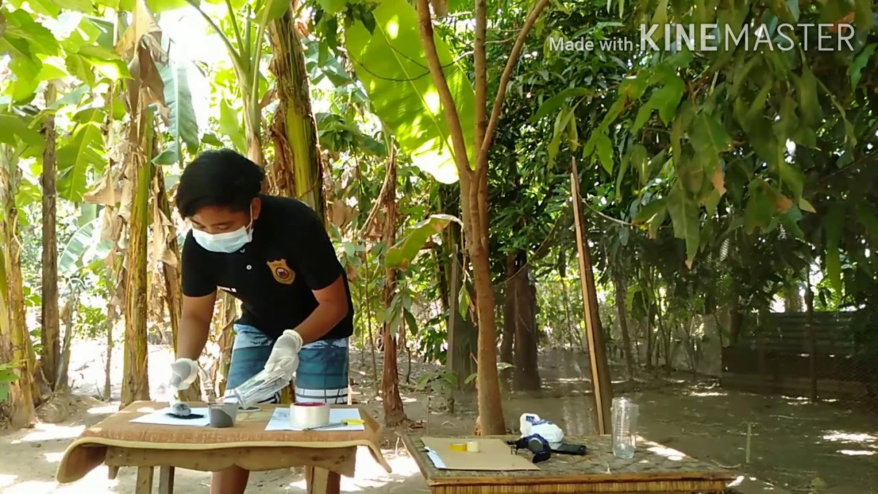 Fingerprint Development (physical method) - YouTube