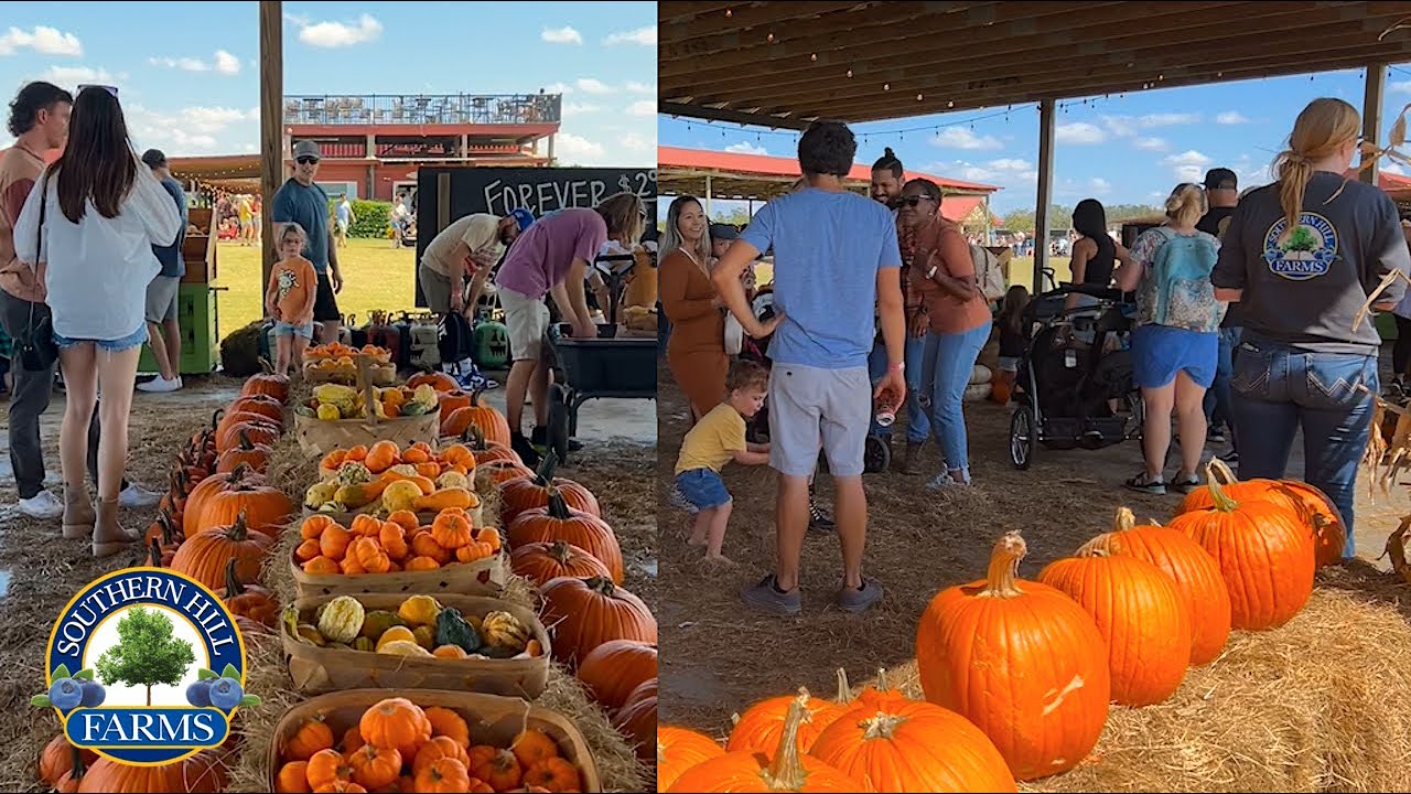 Southern Hill Farms Fall Festival Pumpkin Patch Full Tour Experience ...